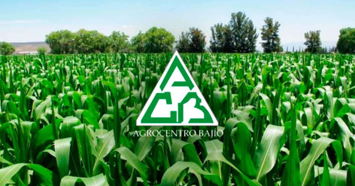 Caso de Éxito - Agrocentro | SEIDOR