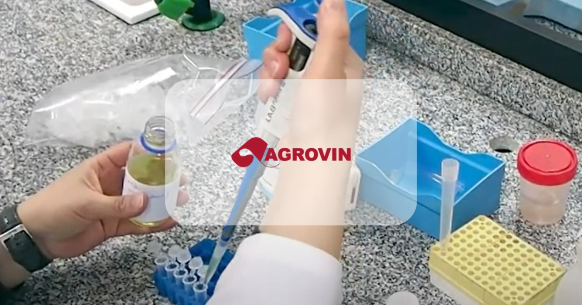 Agrovin | SAP ERP Cloud | SEIDOR