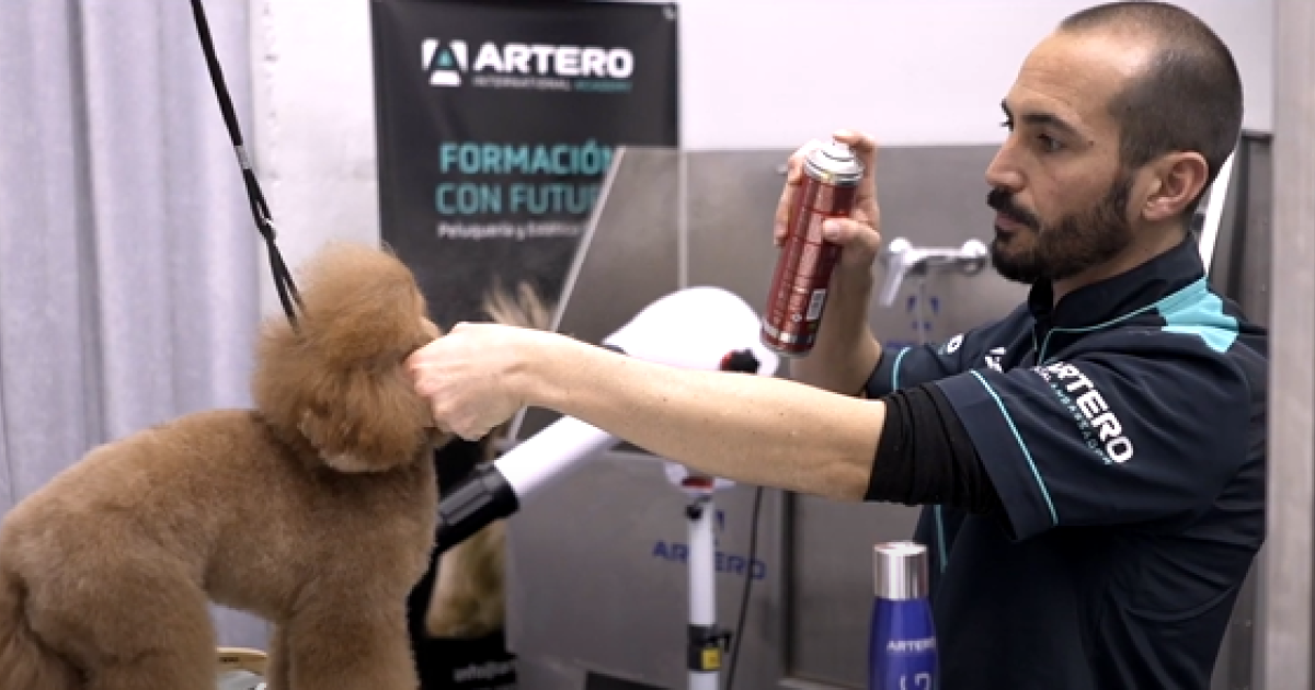 Artero | SAP Business One | SEIDOR Artero | SAP Business One | SEIDOR